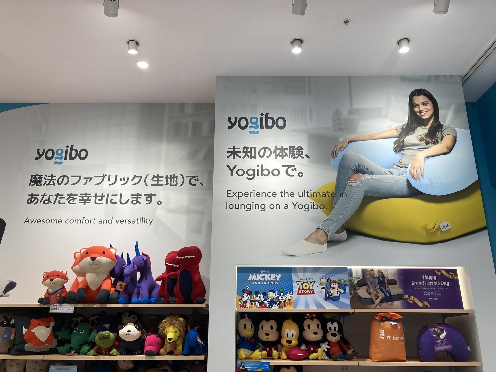 ビーンクッションがウチに来た #ビーンクッション #Yogibo #人をダメにするソファ #ヤン坊マー坊天気予報 #昭和の渾名 #ビーンソファ: Wacky Young 短い話